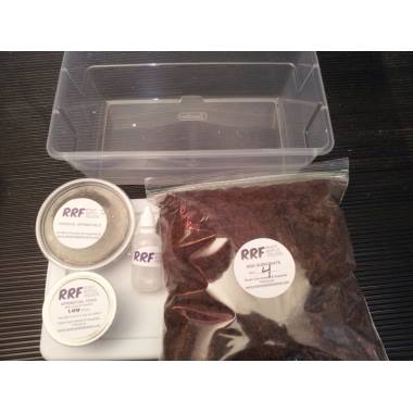 Start your own Master Cultures Using Springtails & Isopods from Insects ...